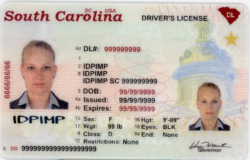 South Carolina Fake ID - Palmetto State Card