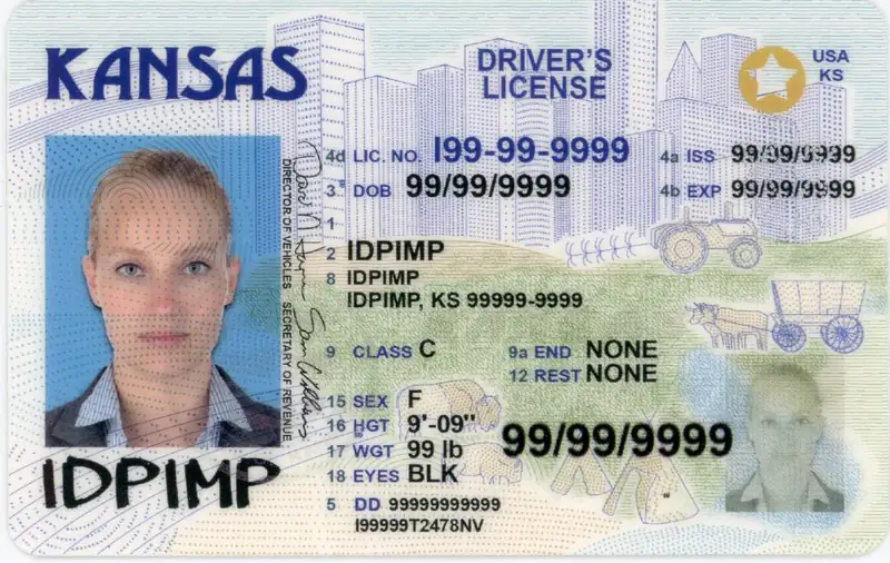 Kansas Fake ID - Sunflower State Card